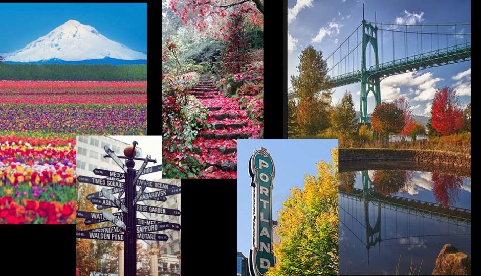 Creative Realtors Portland | We’re A Little Different Than The Rest!